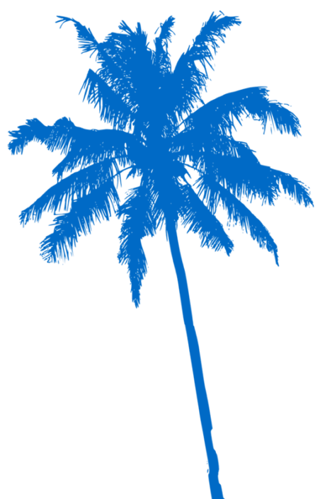 JR286.COM – JR286 | Sports Equipment and Accessories